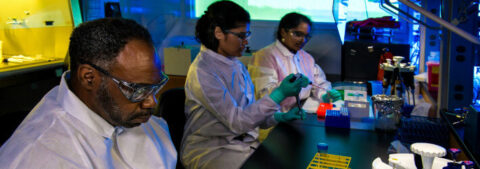 FDA Approves Second Soliris® (eculizumab) Interchangeable Biosimilar ...