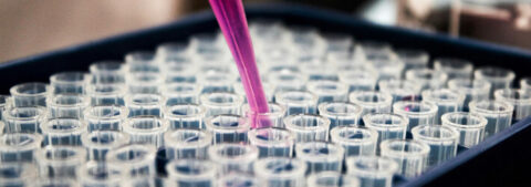 Biosimilar Updates: EYLEA® IPR Filings, Herceptin® Biosimilar Hercessi ...